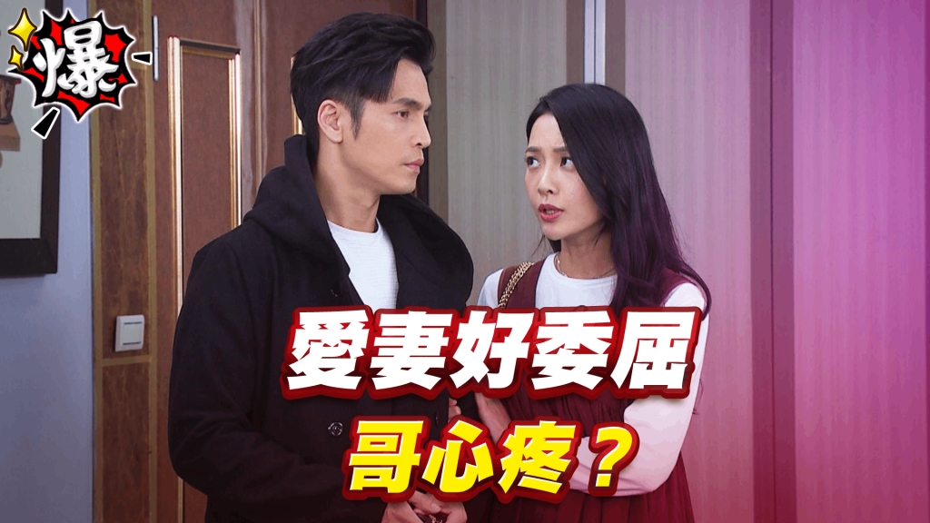 愛妻好委屈 哥心疼？《多情城市-EP291精采片段》｜四季線上4gTV