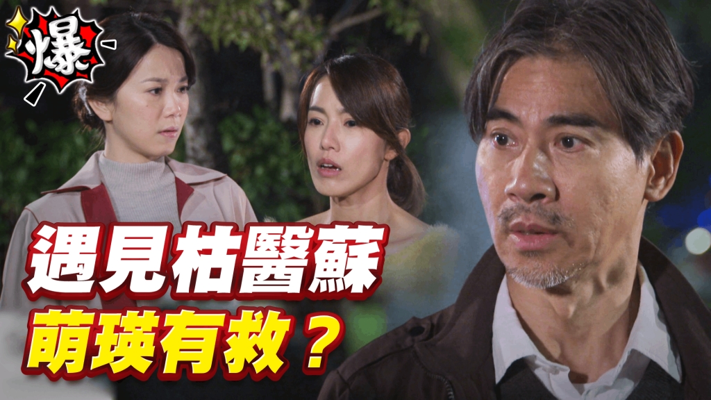 遇見枯醫枯 萌瑛有救？《多情城市-EP313精采片段》｜四季線上4gTV
