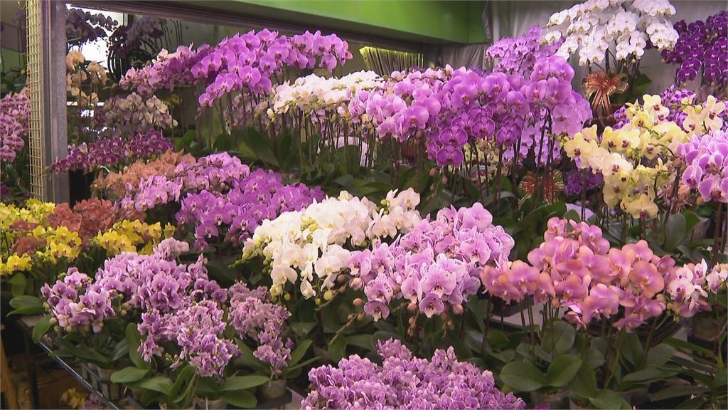 買花過新年！台北花市127至131全天營業不打烊｜四季線上4gtv