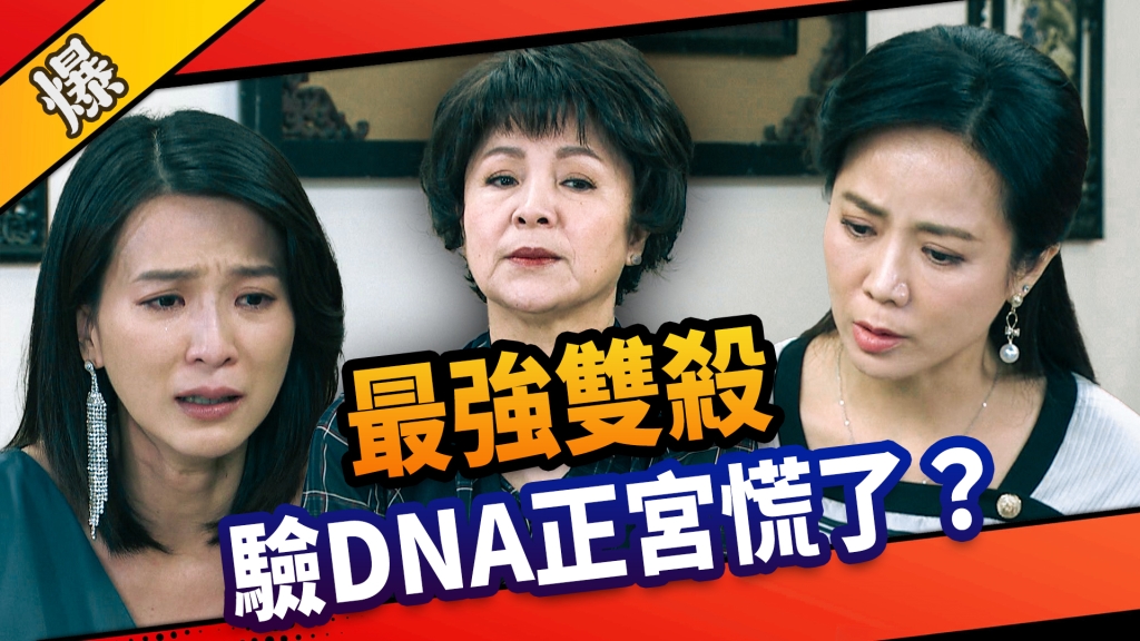 《市井豪門-EP17精采片段》最強雙殺 驗DNA正宮慌了？｜四季線上4gTV