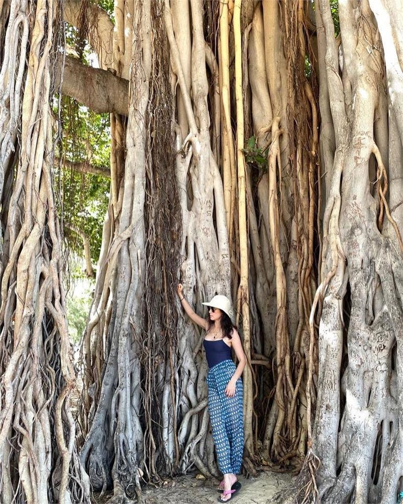 47歲林熙蕾曬度假美照！緊身小背心炸出「逆天身材」網驚：不科學｜四季線上4gTV