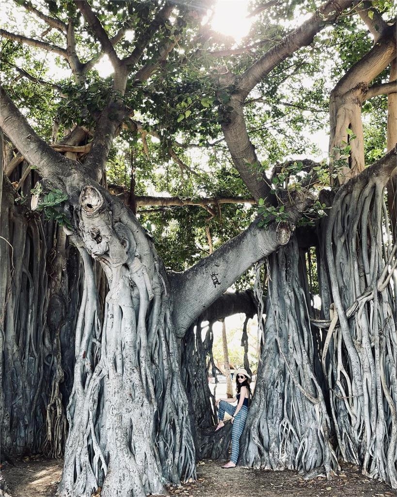 47歲林熙蕾曬度假美照！緊身小背心炸出「逆天身材」網驚：不科學｜四季線上4gTV