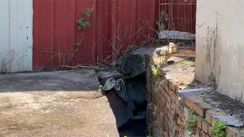 「杯墊大小」超迷你土地 起標價105元、5106元標出｜四季線上4gTV