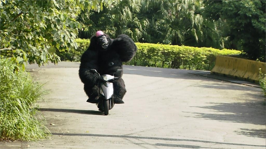 胡瓜PK無厘頭90歲阿嬤！反規則挑戰哭笑不得｜四季線上4gTV