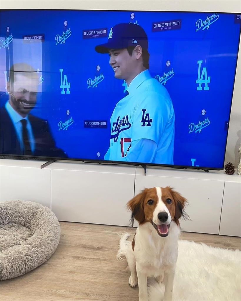 MLB／大谷翔平不再孤單！曝光與愛犬可愛互動：一起吃飯、睡覺很新鮮｜四季線上4gTV