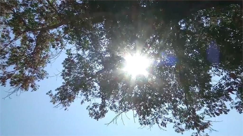 高壓增強！飆36度慎防熱傷害 午後「這些地區」防雷陣雨｜四季線上4gTV