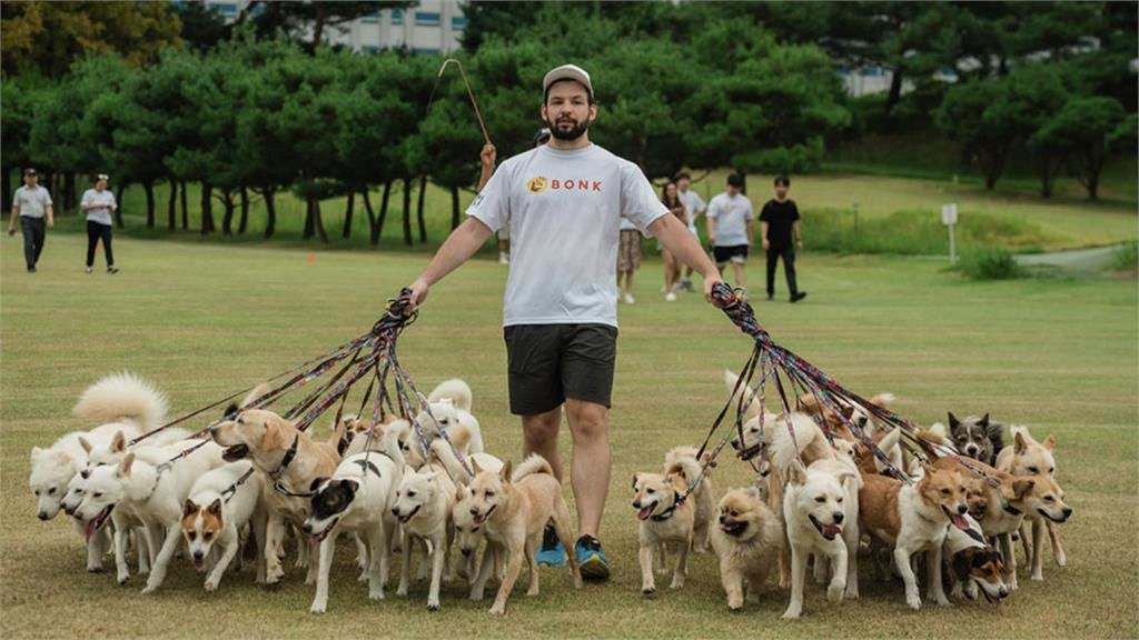 搜奇(影)／超強臂力！加拿大男同時遛38隻狗寫金氏世界紀錄｜四季線上4gTV